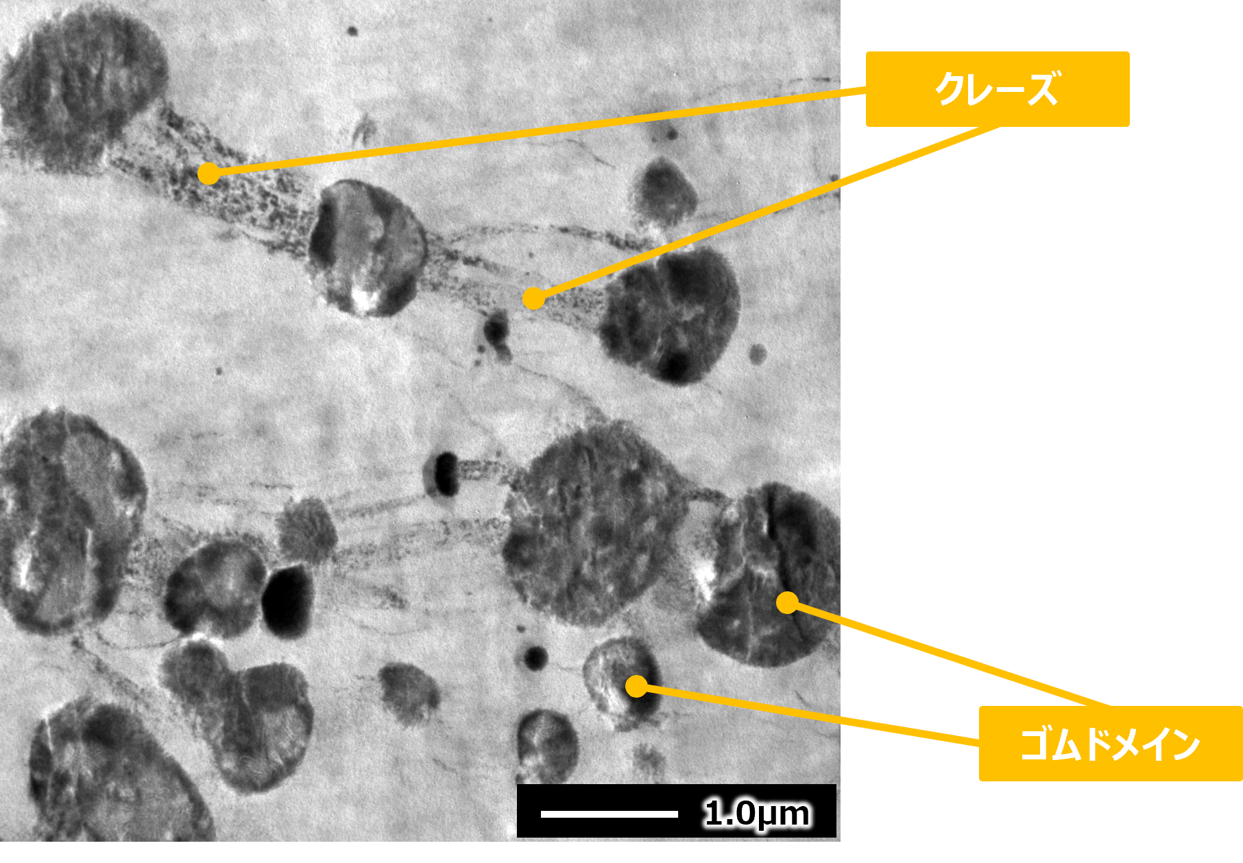 透過型電子顕微鏡(TEM)による耐衝撃性樹脂材料観察事例 | 株式会社ロンビック